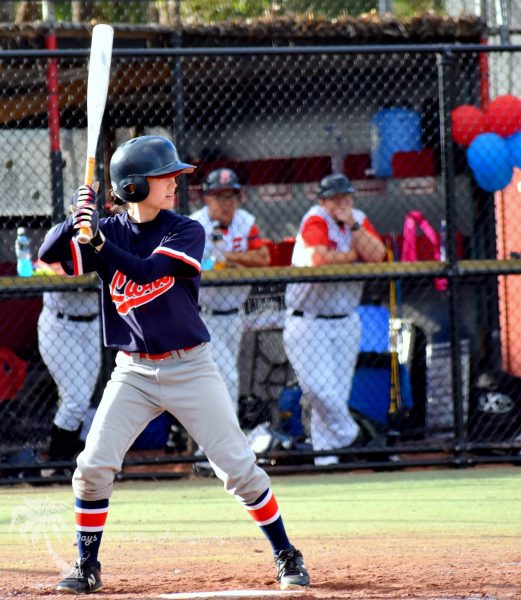 Women’s | Springvale Lions Baseball Club